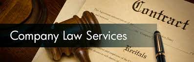 Company Law Services